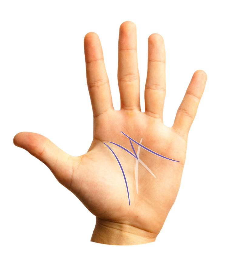 Does Your Palm Contain M sign? If Yes, Read This Now! - StellarPalmistry